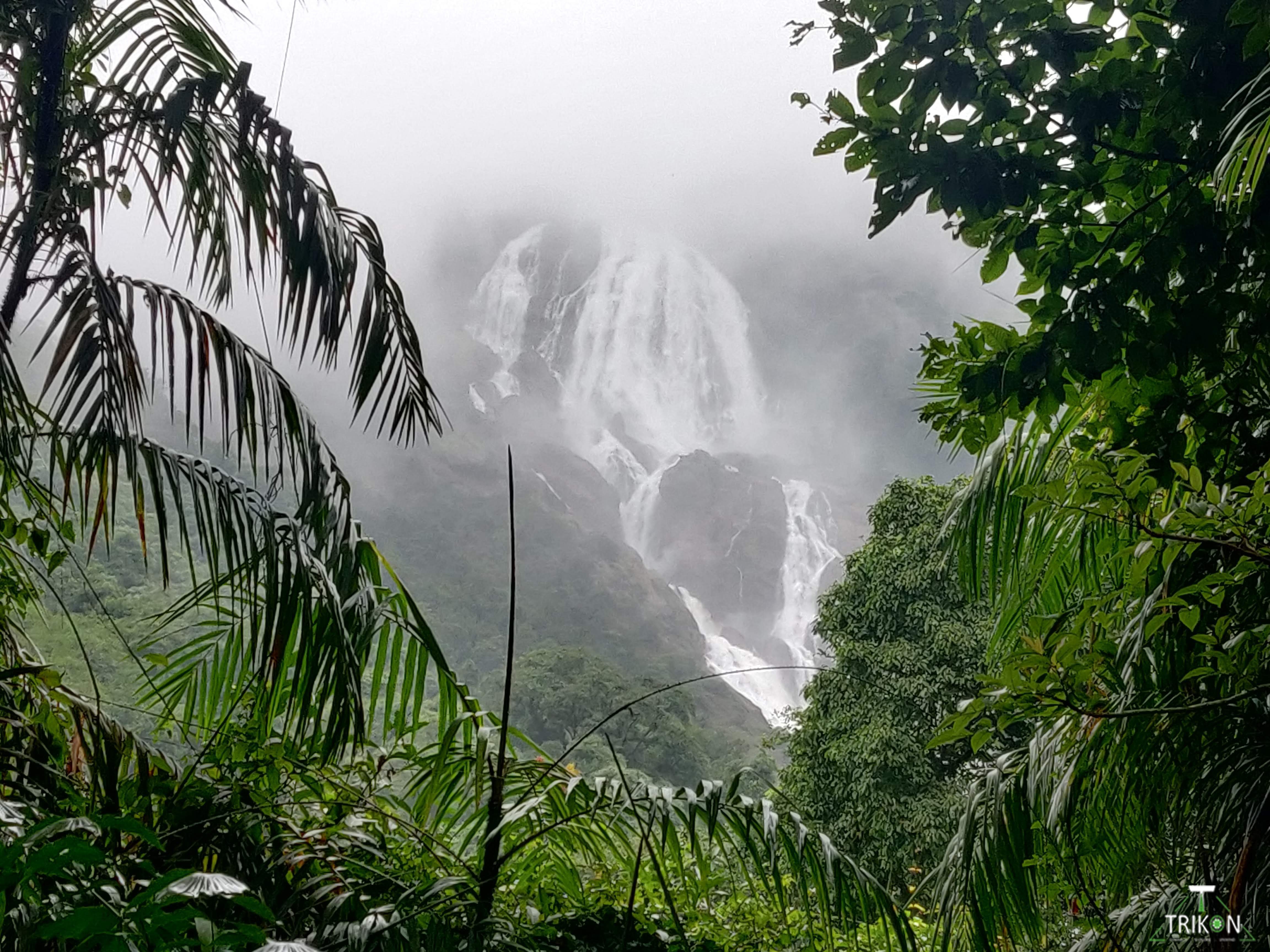 Dudhsagar Waterfall and Tambdi Surla Waterfall Trek from Mumbai & Pune