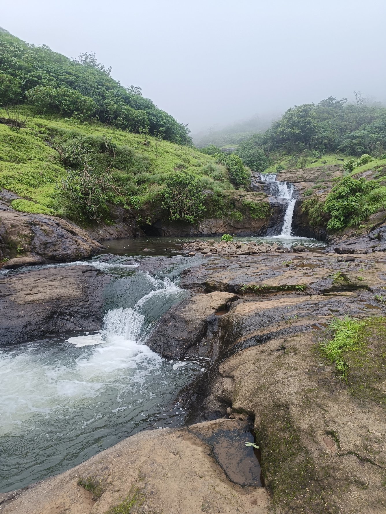 Monsoon Treks in Maharashtra with Trikon: Adventure Guide